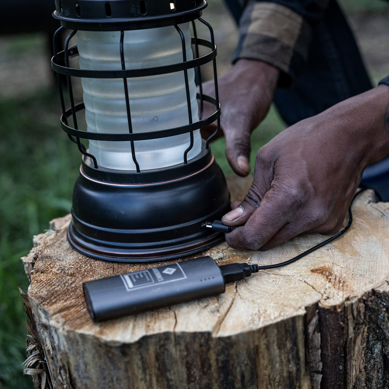 BAREBONES | FOREST LANTERN - The Waste-Free Home
