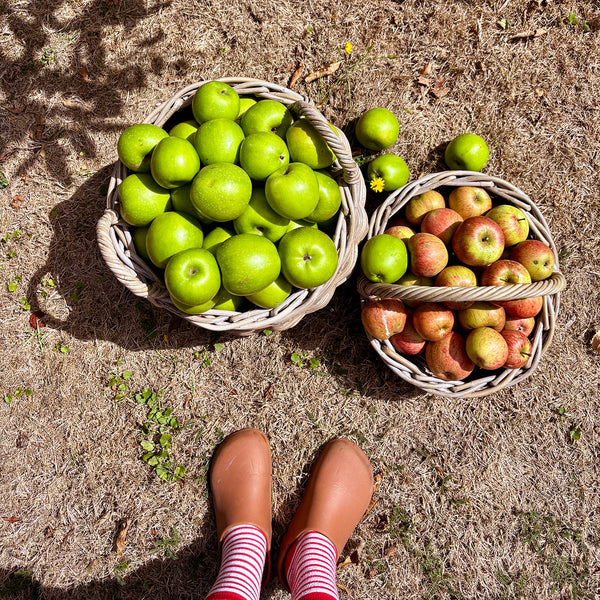 WREN | SMALL GATHERING BASKET - The Waste-Free Home