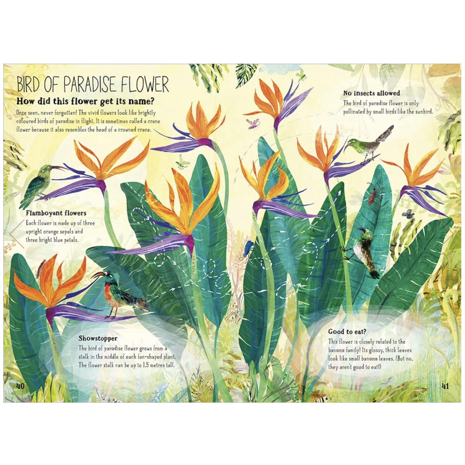 THE BIG BOOK OF BLOOMS | YUVAL ZOMMER - The Waste-Free Home