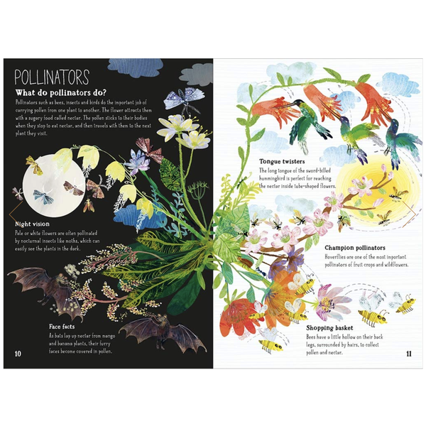 THE BIG BOOK OF BLOOMS | YUVAL ZOMMER - The Waste-Free Home