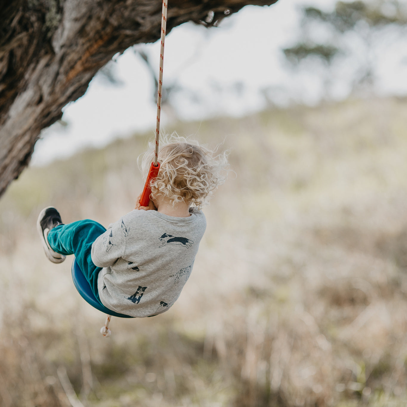 THE LITTLE SWING - Perfect for the whole family. - The Waste-Free Home