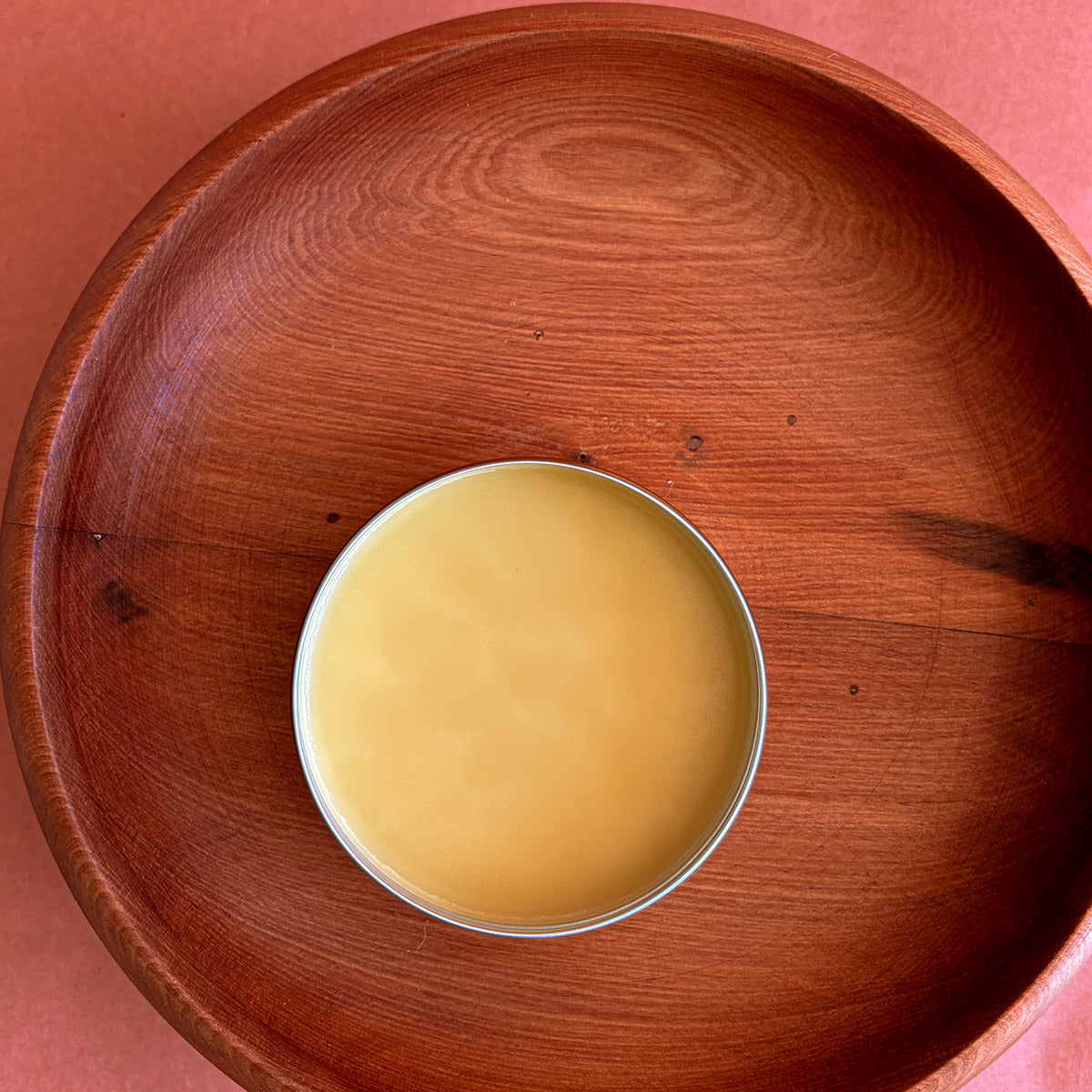 DUZZ ALL BEESWAX - The Waste-Free Home