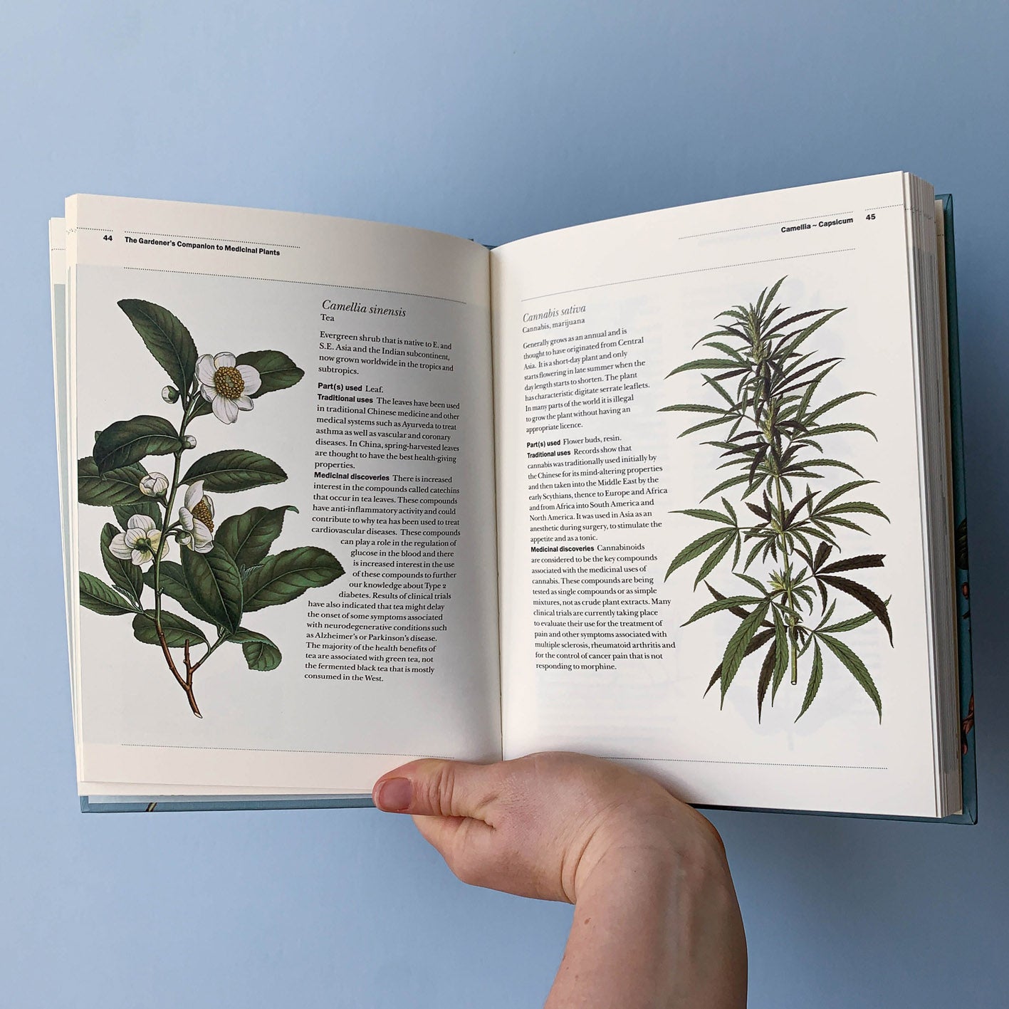 COMPANION TO MEDICINAL PLANTS - Kew - The Waste-Free Home