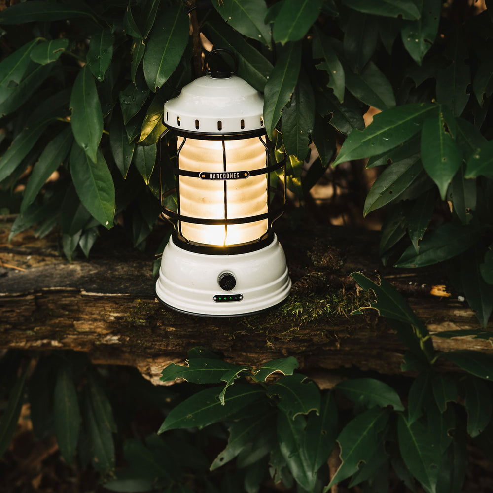 BAREBONES | FOREST LANTERN - The Waste-Free Home