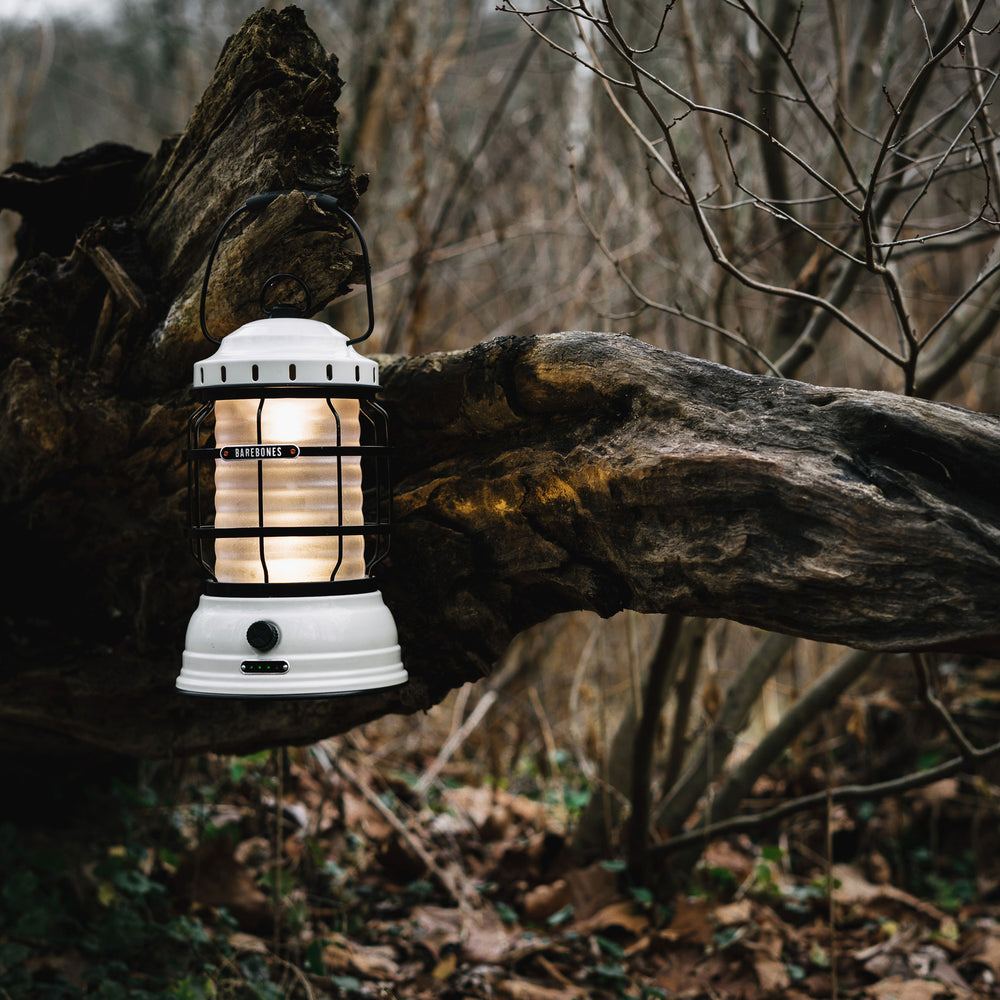 BAREBONES | FOREST LANTERN - The Waste-Free Home